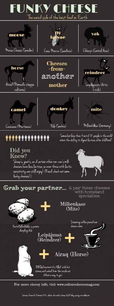 Cheeseographic: Cheeses From Another Mother | culture: the word on cheese