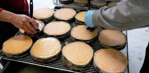 Learn to Love Washed Rind Cheeses | culture: the word on cheese