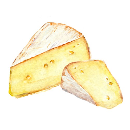 Erica Mixon for culture: the word on cheese
