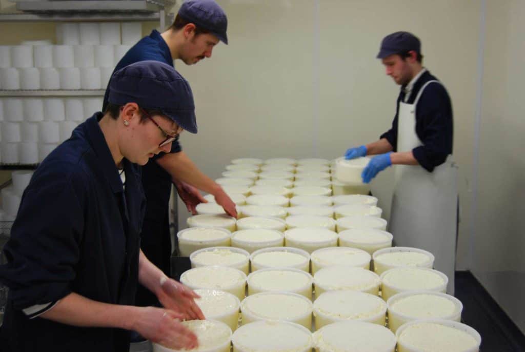 Behind the Scenes with King Stone Dairy’s Rollright and La Fromagerie
