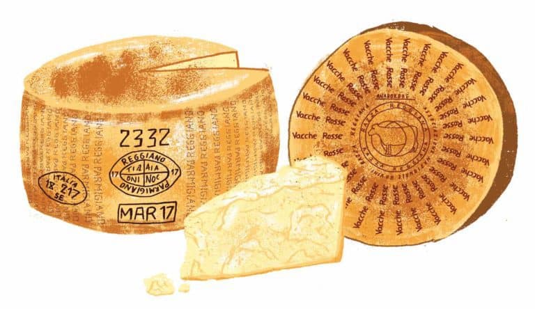 How One Parmigano Saved an Ancient Breed of Cattle