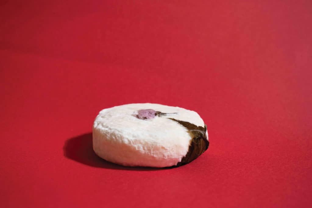 5 Japanese Cheesemakers You Need to Know | culture: the word on cheese