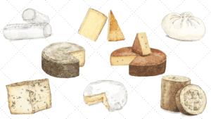 Cheese Glossary: Common Terms | culture: the word on cheese