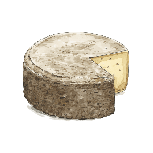 Cheese Glossary: Common Terms | culture: the word on cheese