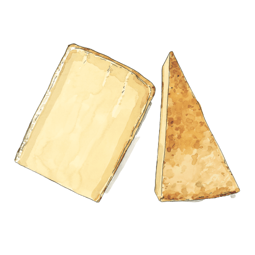 Cheese Glossary: Common Terms | culture: the word on cheese