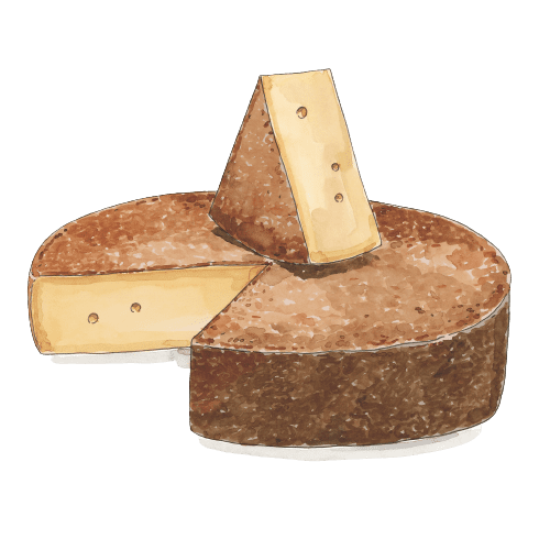 Cheese Glossary: Common Terms | culture: the word on cheese