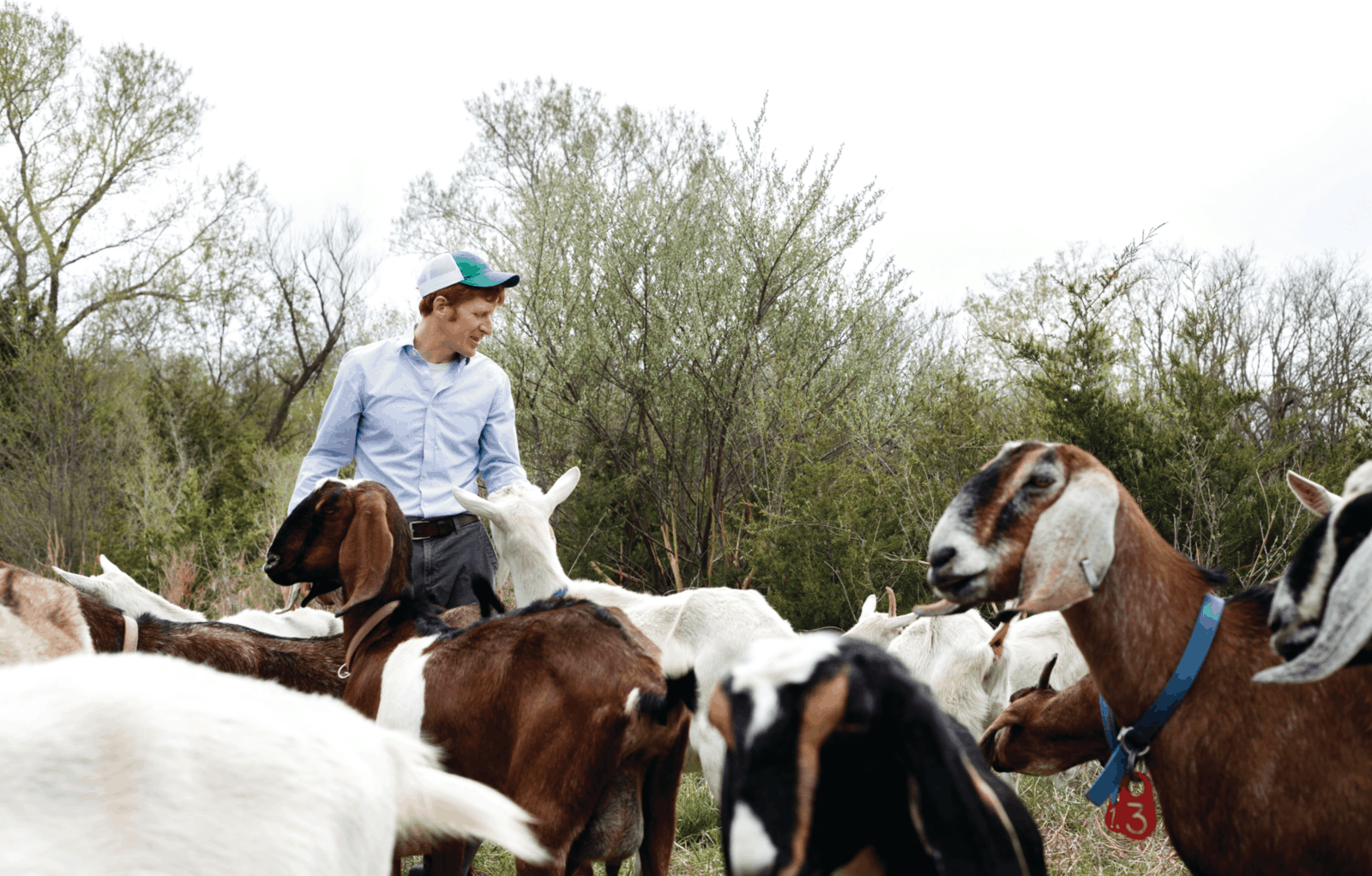 Chef's Dish: At Elderslie Farm, George and Katharine Elder Honor Kansas ...