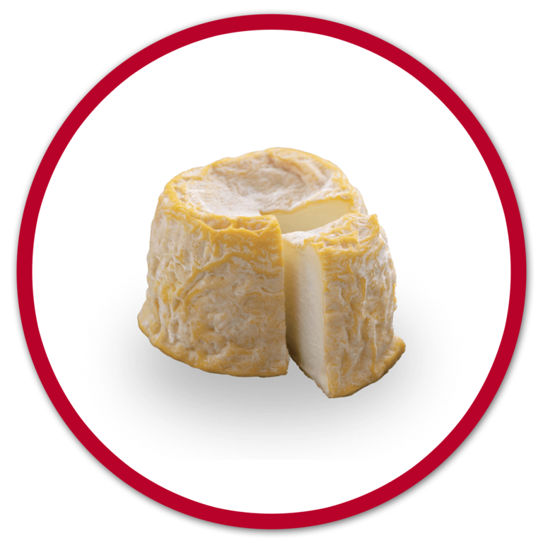 Fall Into Fromage with These Amazing French Cheeses | culture: the word ...