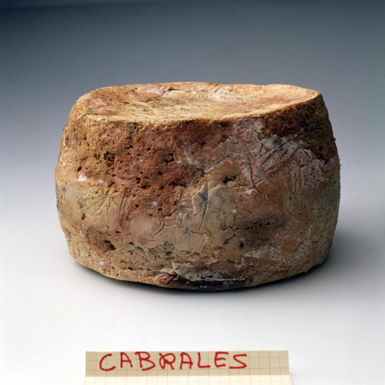 New Record for World's Most Expensive Cheese | culture: the word on cheese