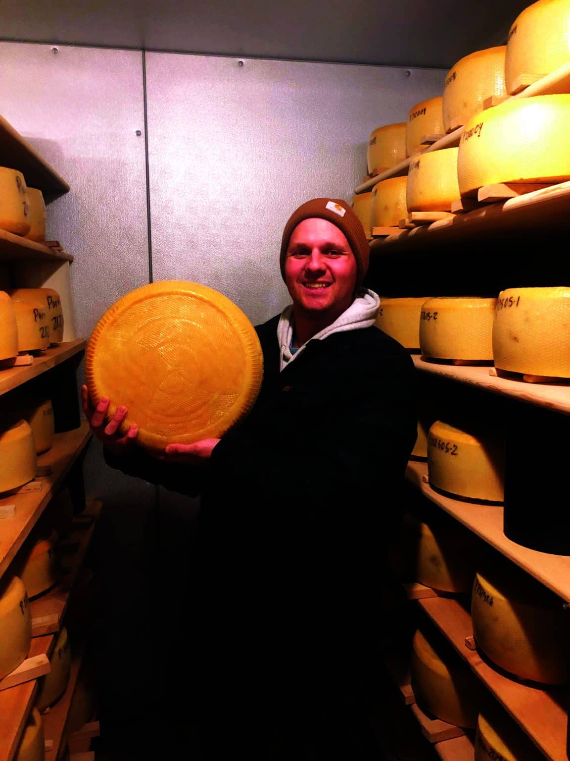Just In Time for the Holidays: Professional Takes on Seasonal Cheese ...