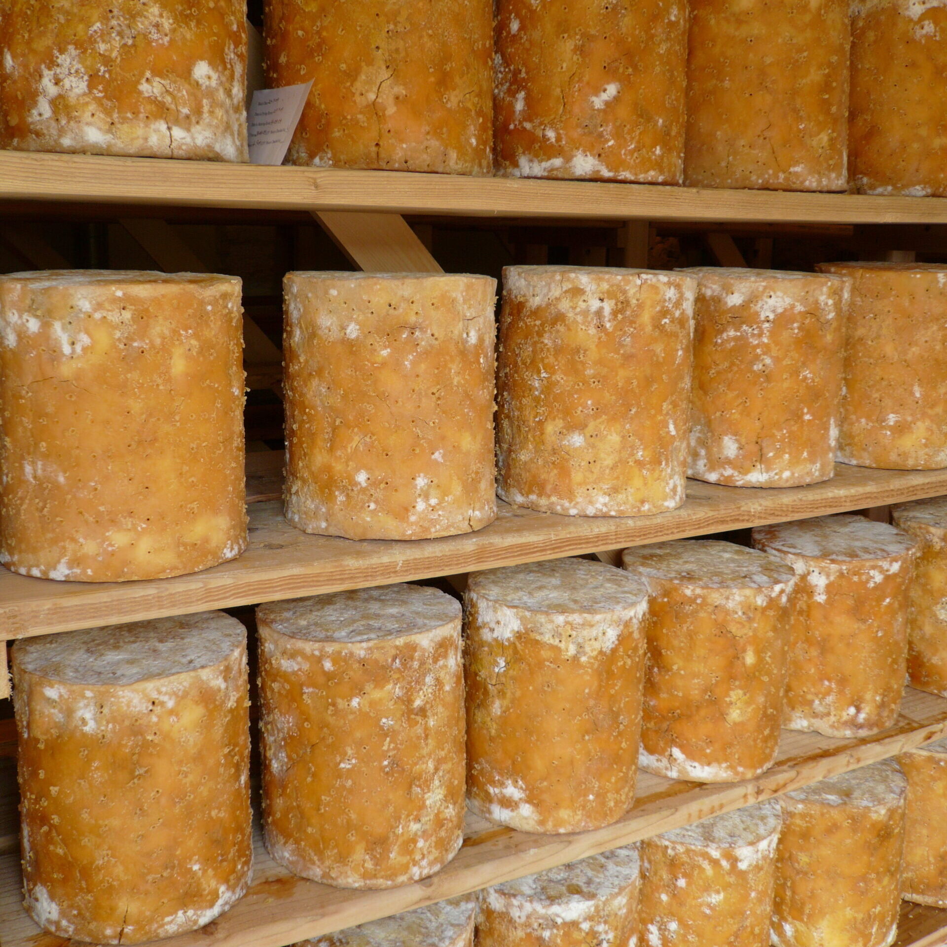 culture's 2025 Annual List of the Best Award-winning Cheeses | culture ...