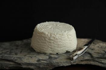 Ricotta (Caputo Brothers) Cheese | culture: the word on cheese