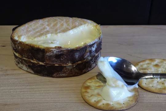 culture: the word on cheese